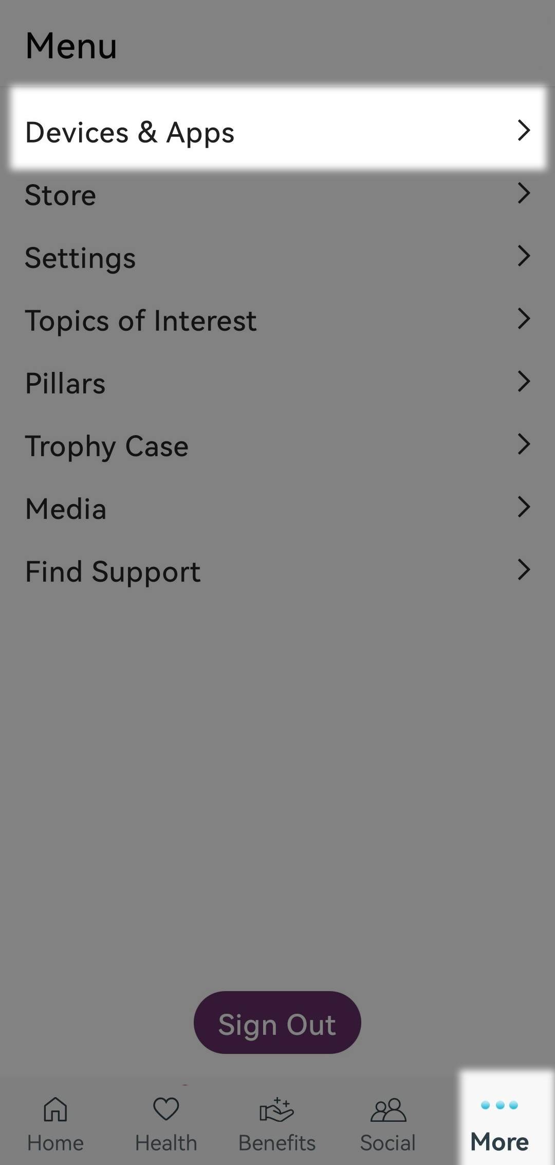 Max GO Settings in the App – Personify Health