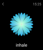 Max GO Features – Personify Health